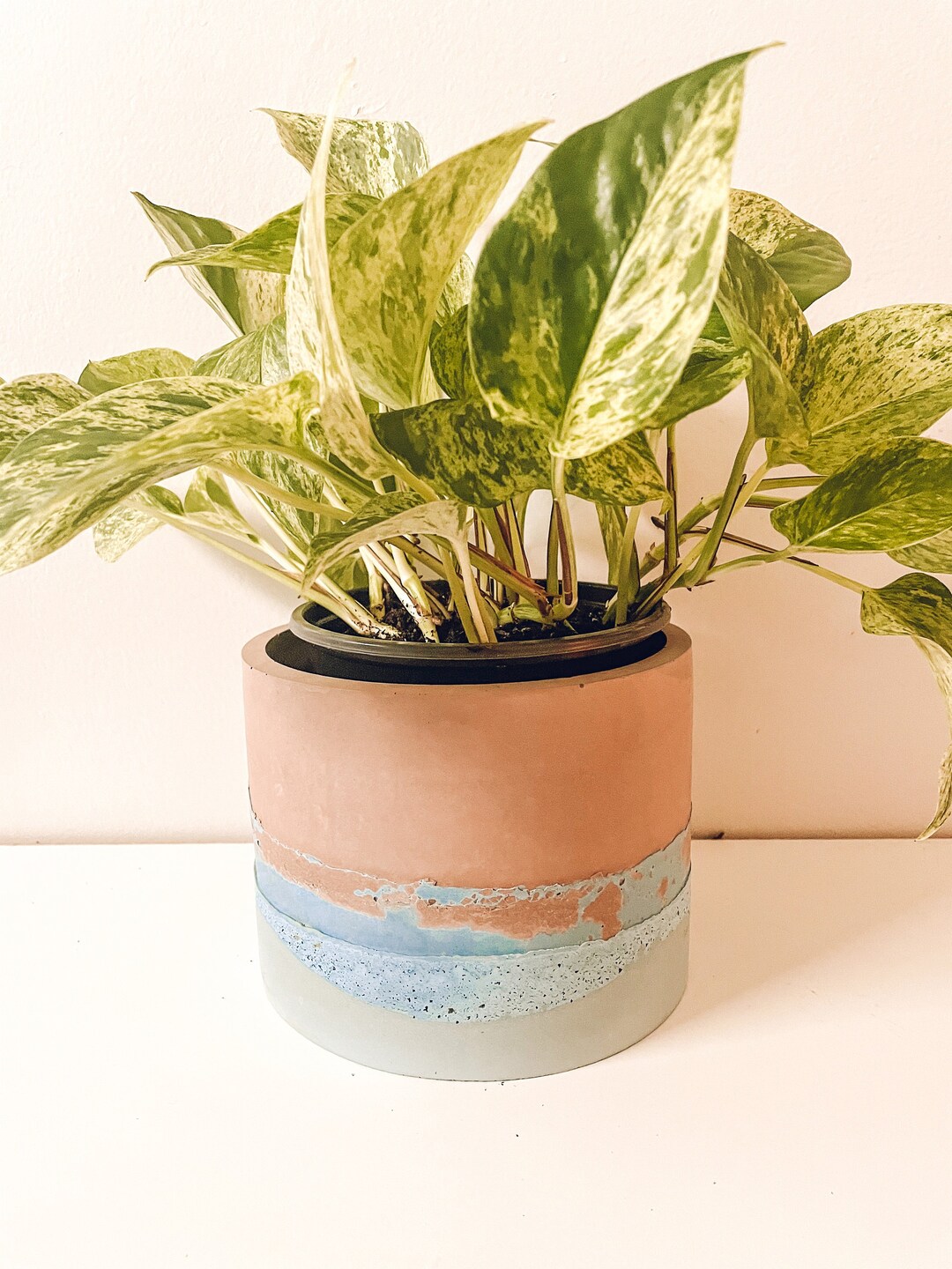 Seaside Planter | Concrete Planter | Cement Planter | Minimalist ...