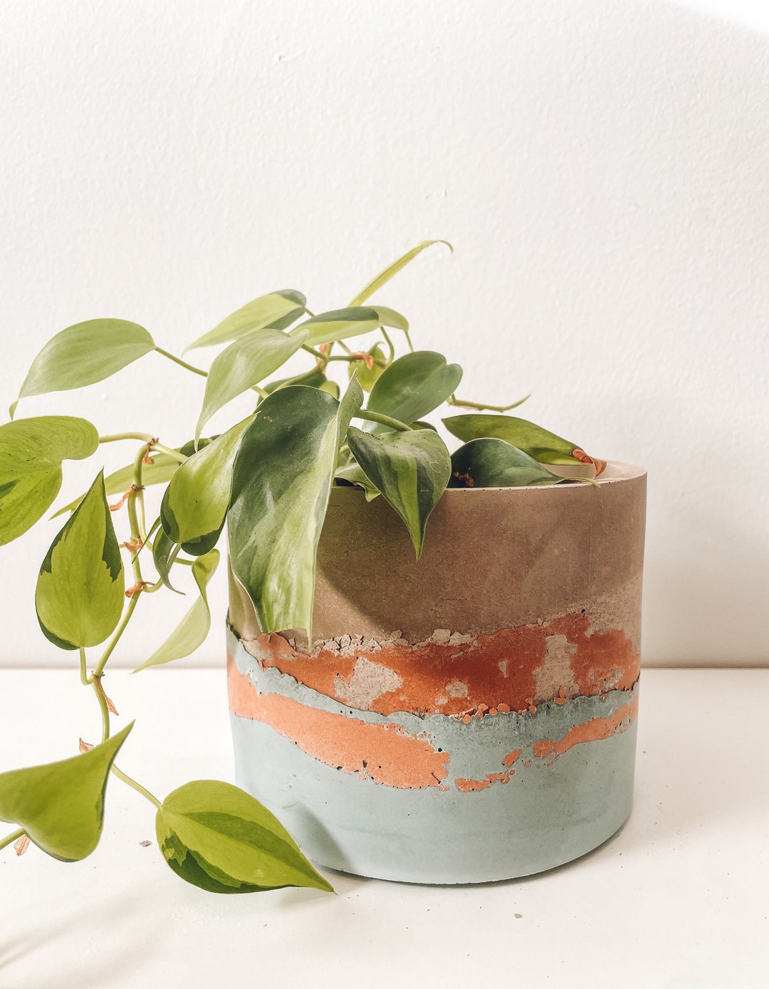 Coronado Planter Concrete Planter Cement Planter Minimalist Planter ...