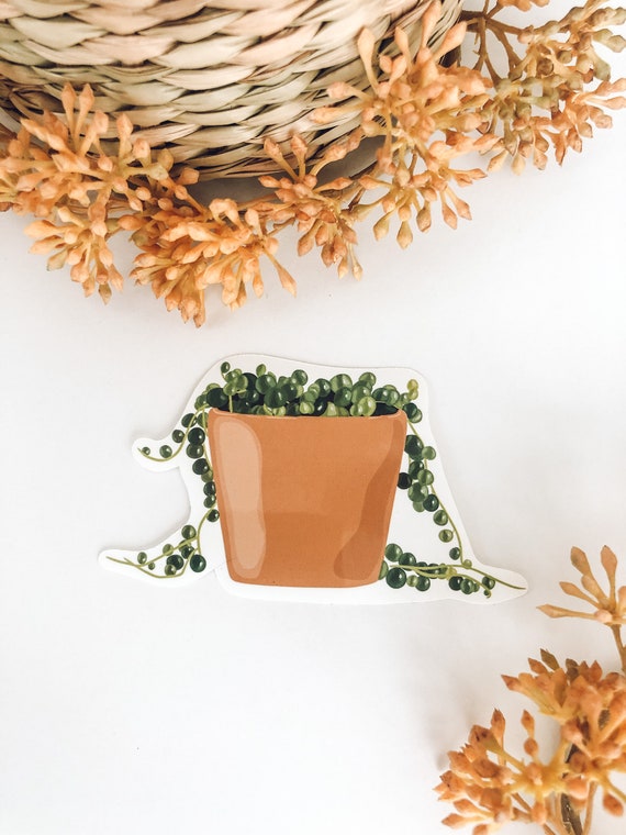 String of Pearls Sticker Plant Sticker Weatherproof - Etsy