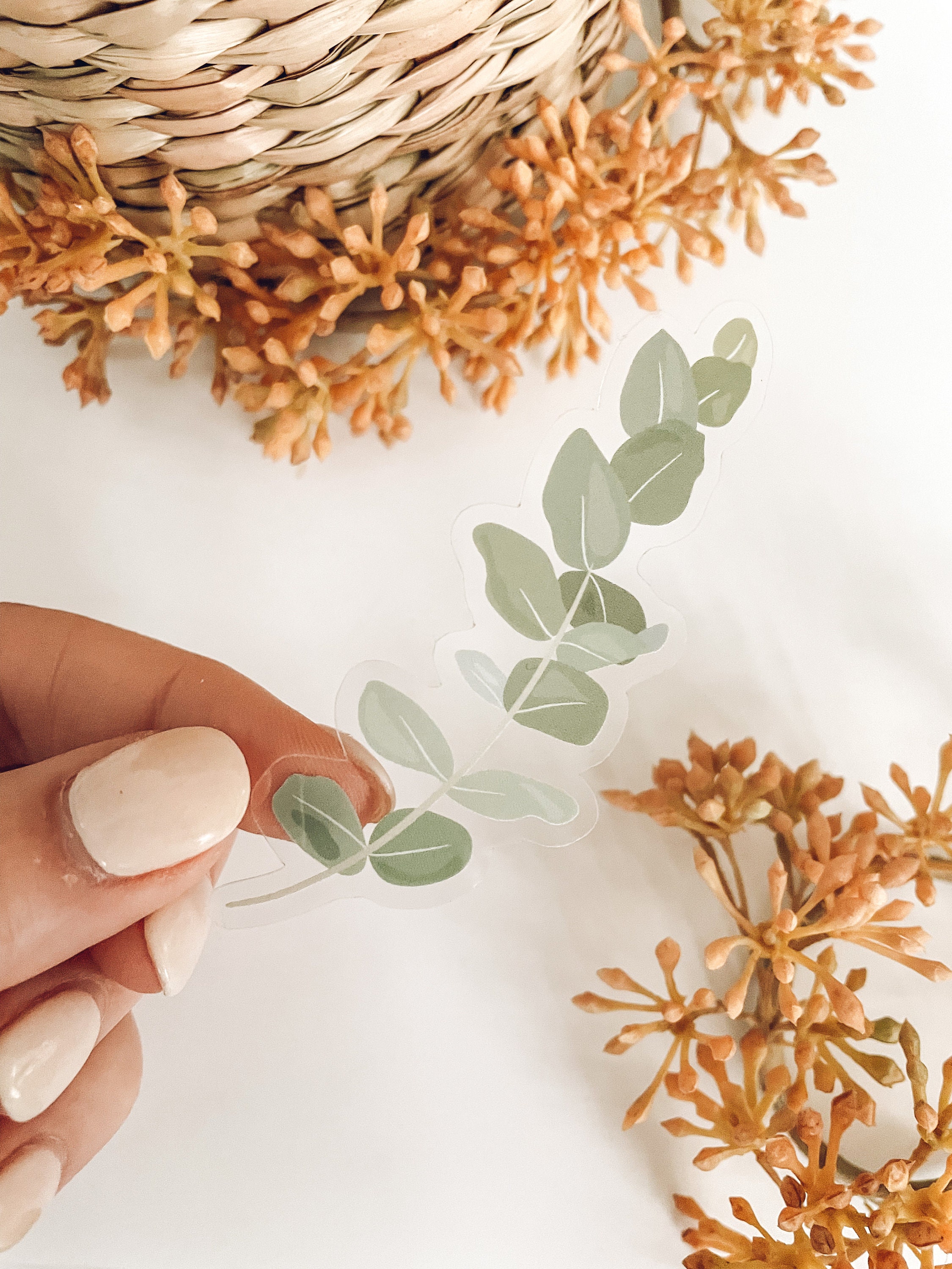 Eucalyptus Sticker Leaf Sticker Plant Sticker - Etsy