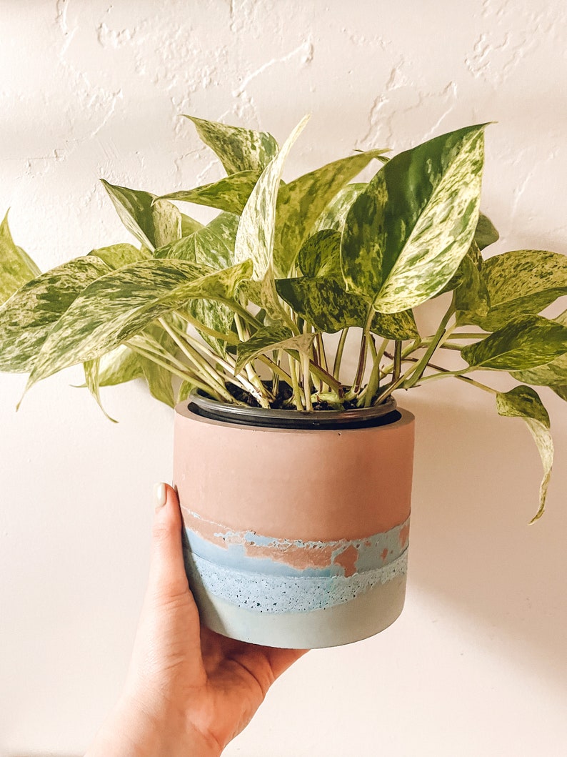 Seaside Planter Concrete Planter Cement Planter - Etsy