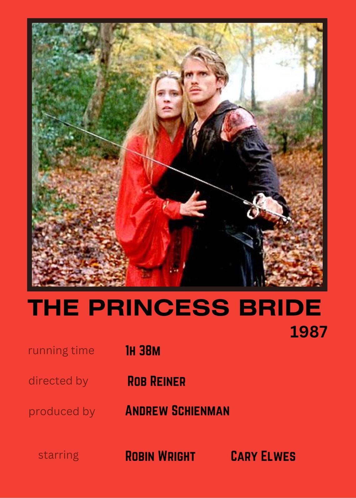 The Princess Bride Movie Poster Print - Etsy