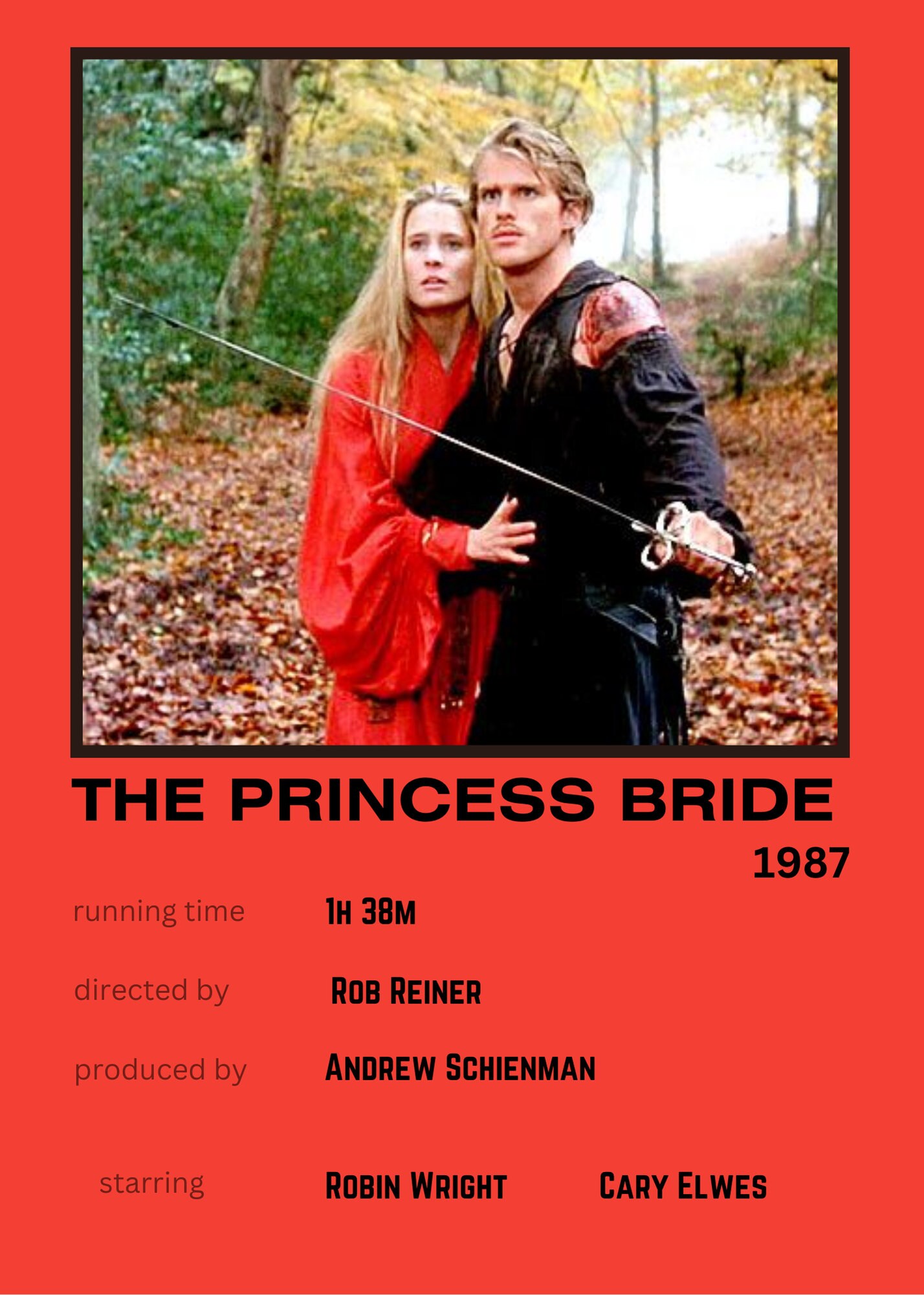 The Princess Bride Movie Poster Print - Etsy