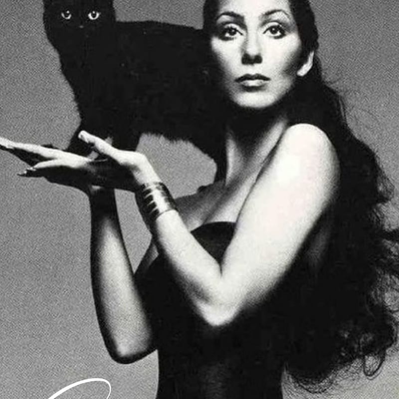 Cher Art Print - Etsy