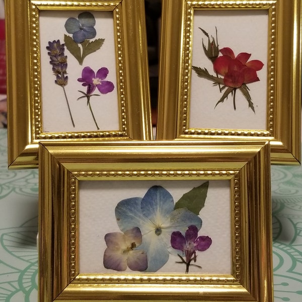 Pressed Flower Frame - Etsy