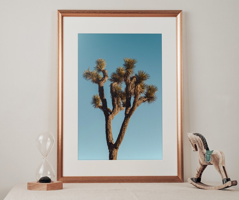 Joshua Tree Desert Landscape Art Print, Cactus Wall Art, Boho Southwest ...