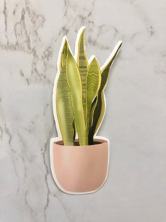 Snake Plant Sticker Water-resistant Sticker Plants Laptop | Etsy