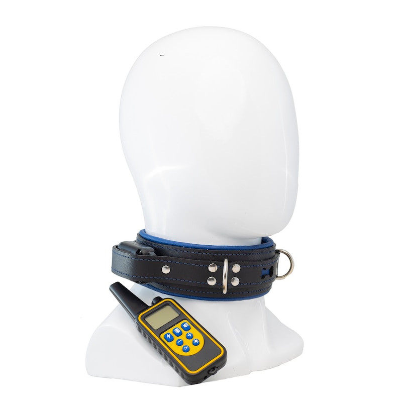 Shock Collar for Humans - Etsy