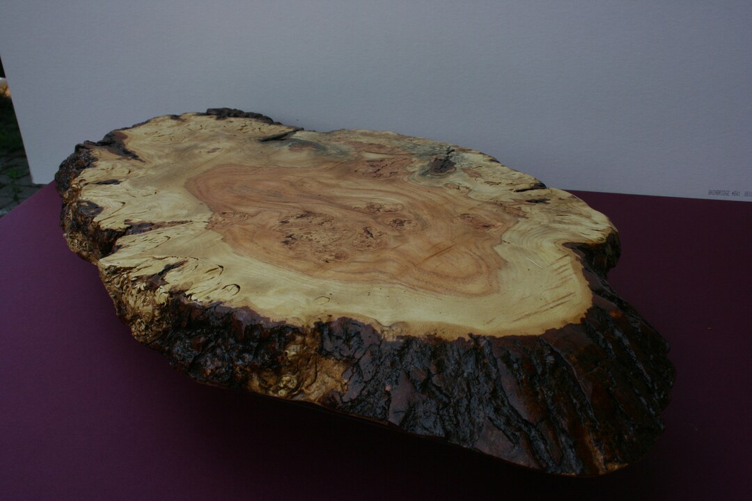 Sugar Locust Burl Slice Charcuterie - Etsy UK