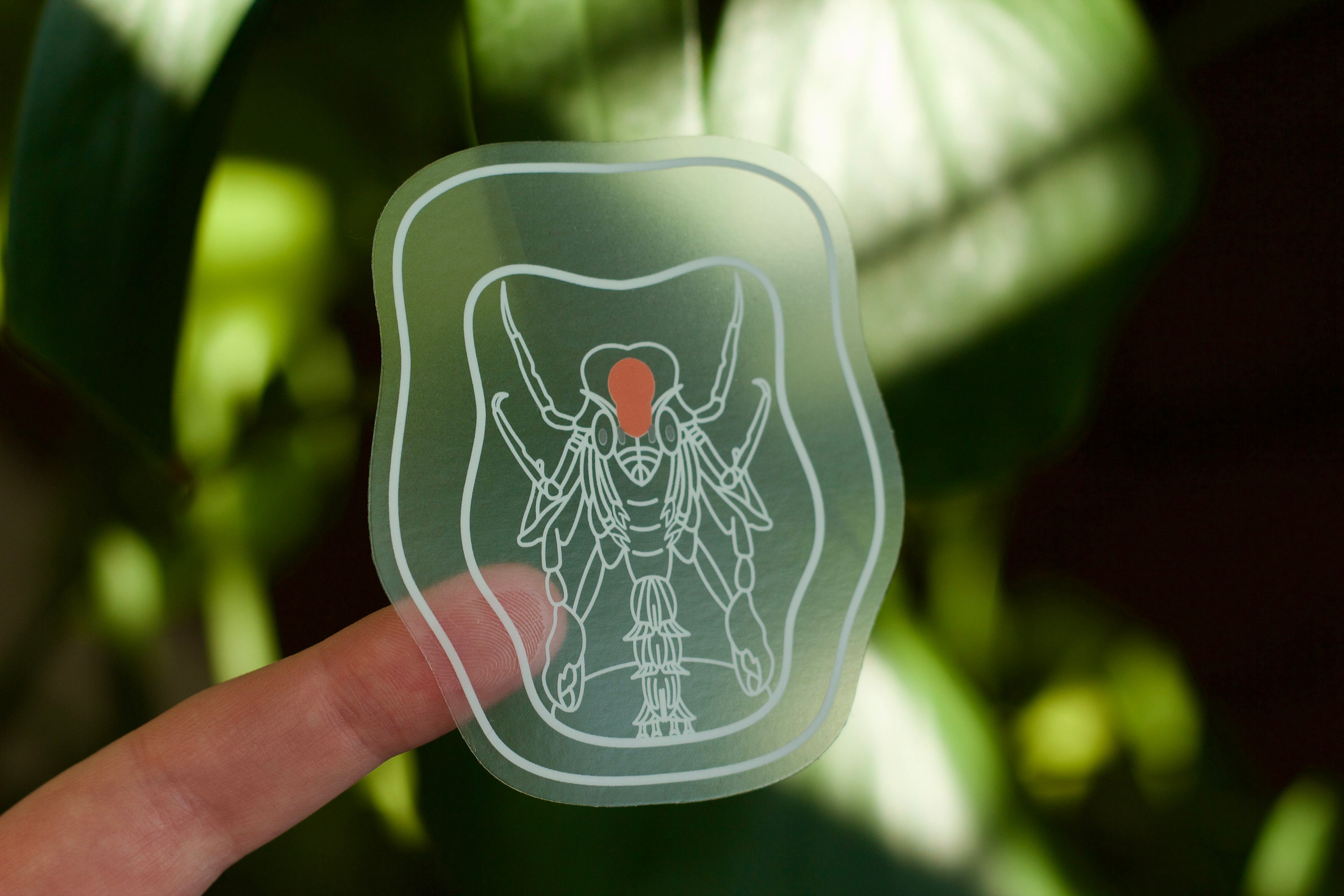 Deep-sea Phronima Amphipod Clear Sticker - Etsy