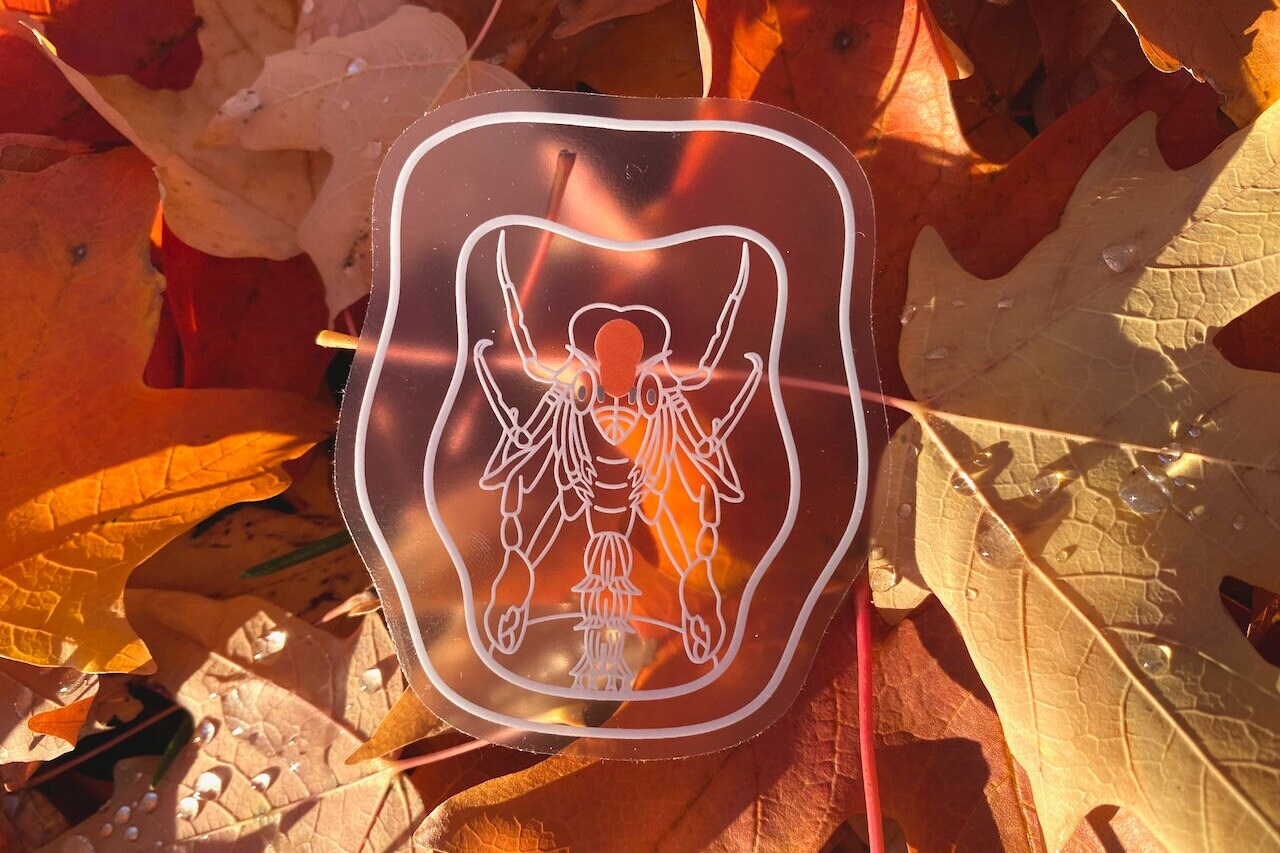 Deep-sea Phronima Amphipod Clear Sticker - Etsy