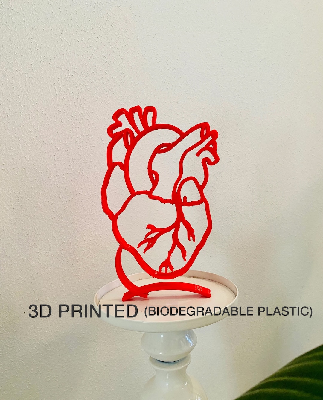 Anatomical Heart, Minimalist Art PLASTIC Sculpture, 3D Printed Gifts ...