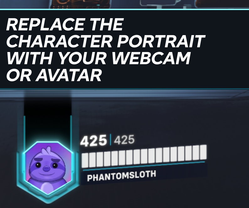 Overwatch 2 - Character Portrait Replacement for Streaming - Etsy
