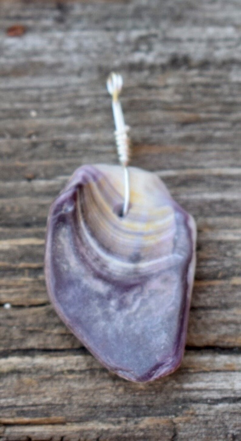Aquinnah Quahog Wampum Pendant - Etsy
