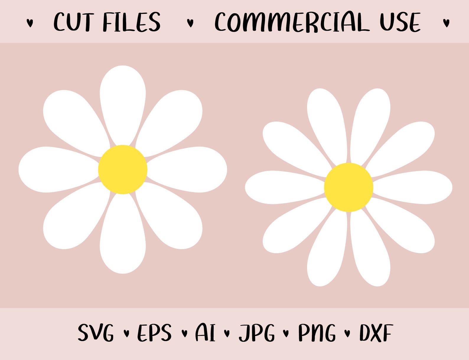 Daisy SVG Vector EPS DXF Ai Png Jpg Files for Cricut - Etsy