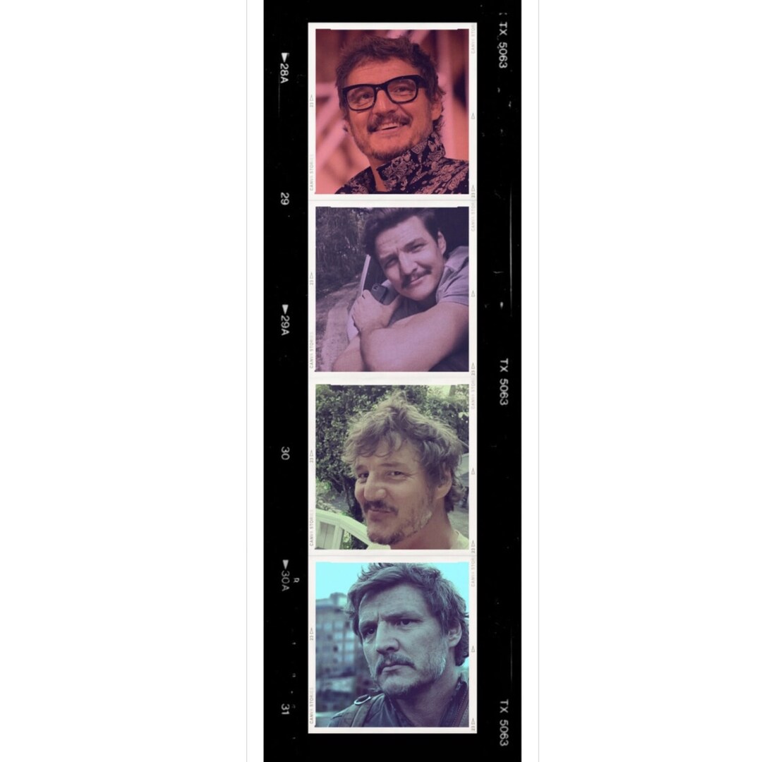 Beautiful Pedro Decal - Etsy