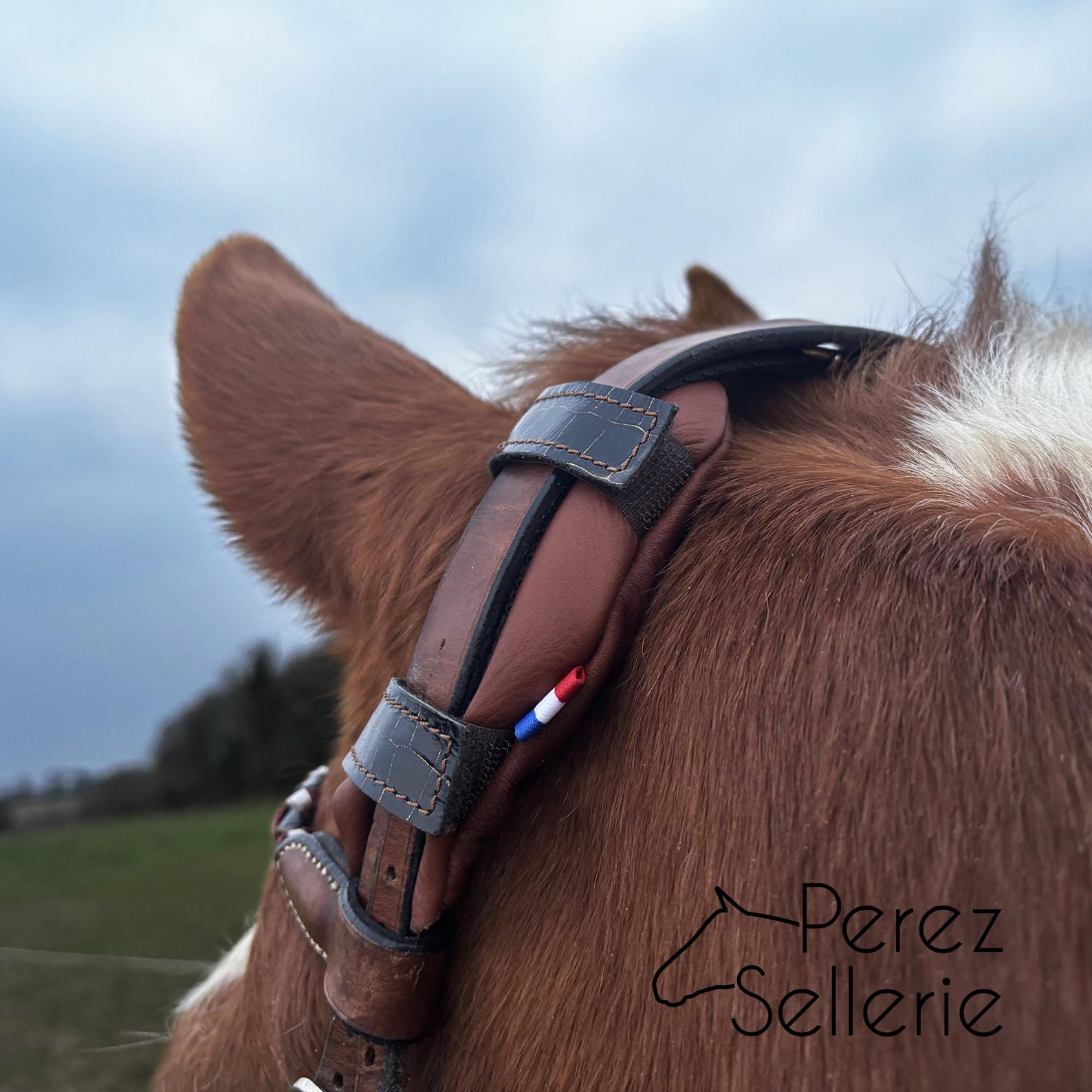 Customizable Poll Pad Relieving the Cervical Spine, Adaptable to ...