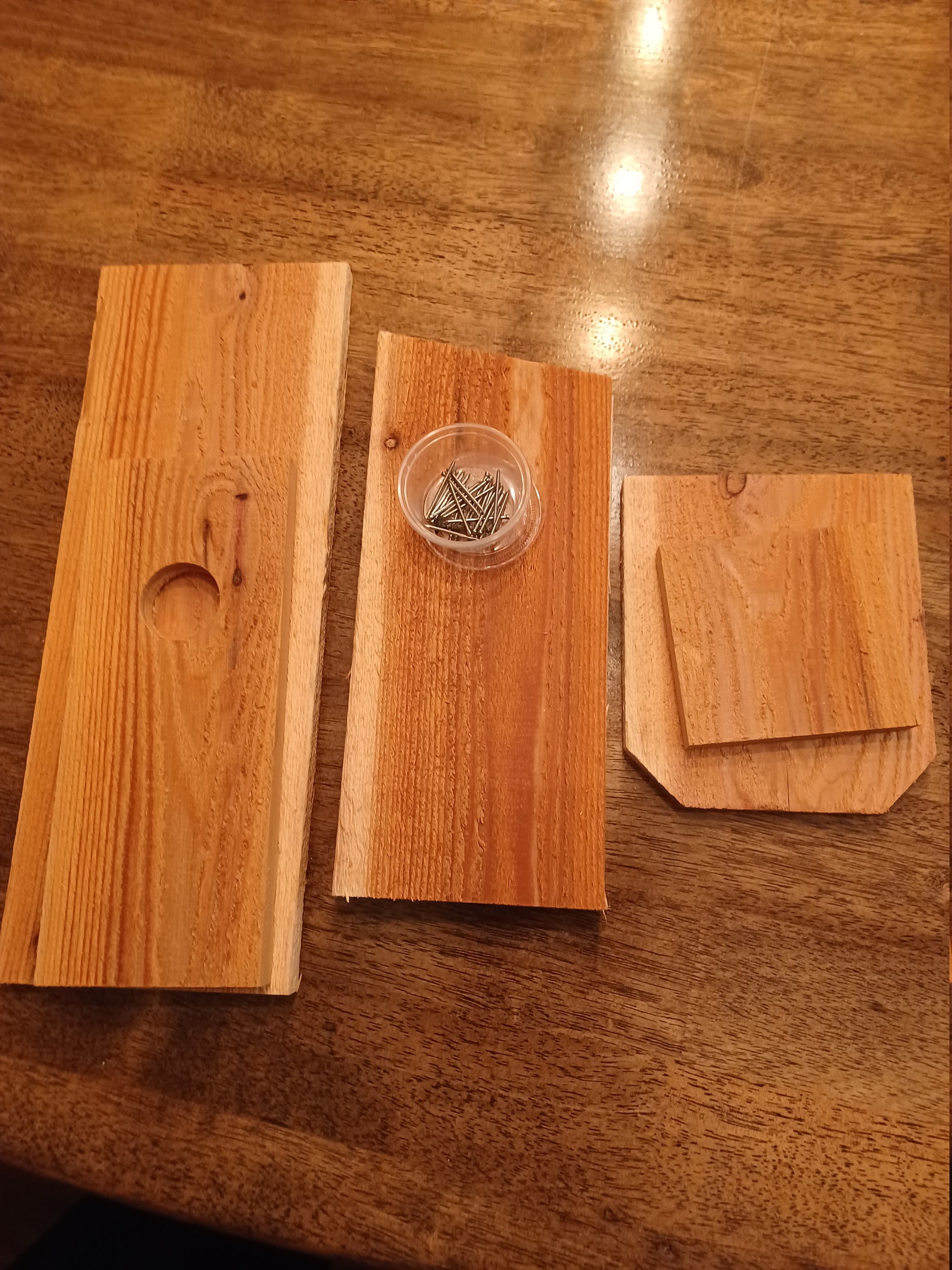 DIY Bluebird House Kit, Scout Project, Birdhouse Kit, Kids Craft Kit - Etsy