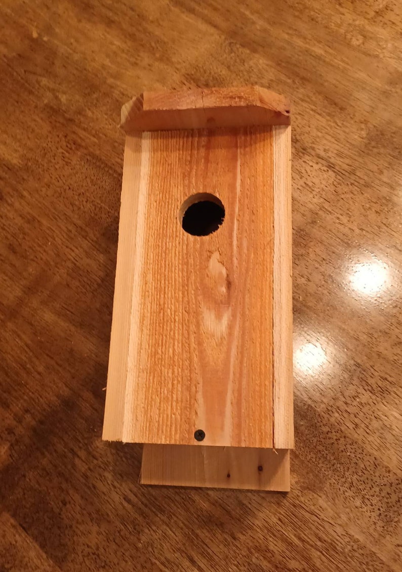 DIY Bluebird House Kit, Scout Project, Birdhouse Kit, Kids Craft Kit - Etsy