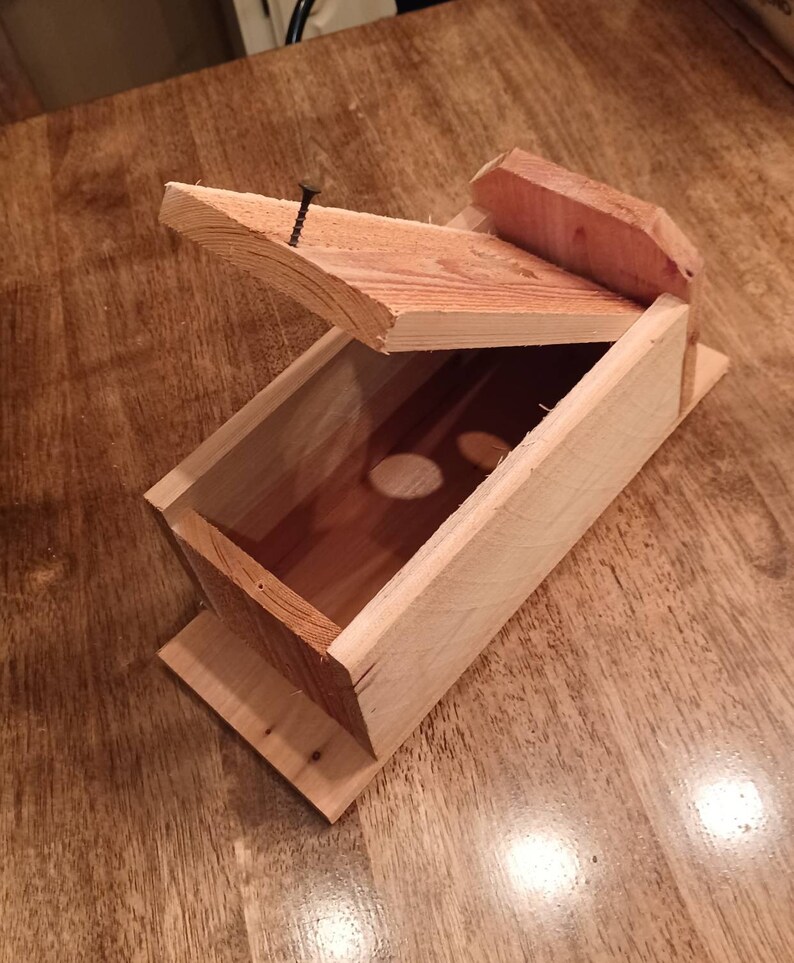 DIY Bluebird House Kit, Scout Project, Birdhouse Kit, Kids Craft Kit - Etsy