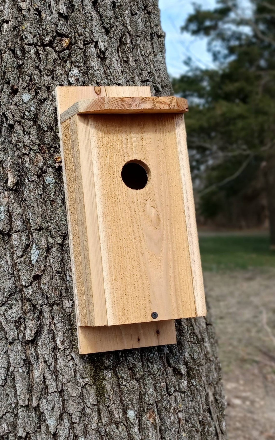 DIY Bluebird House Kit, Scout Project, Birdhouse Kit, Kids Craft Kit - Etsy