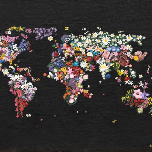 Global Garden: A World Map of National Flowers | Etsy