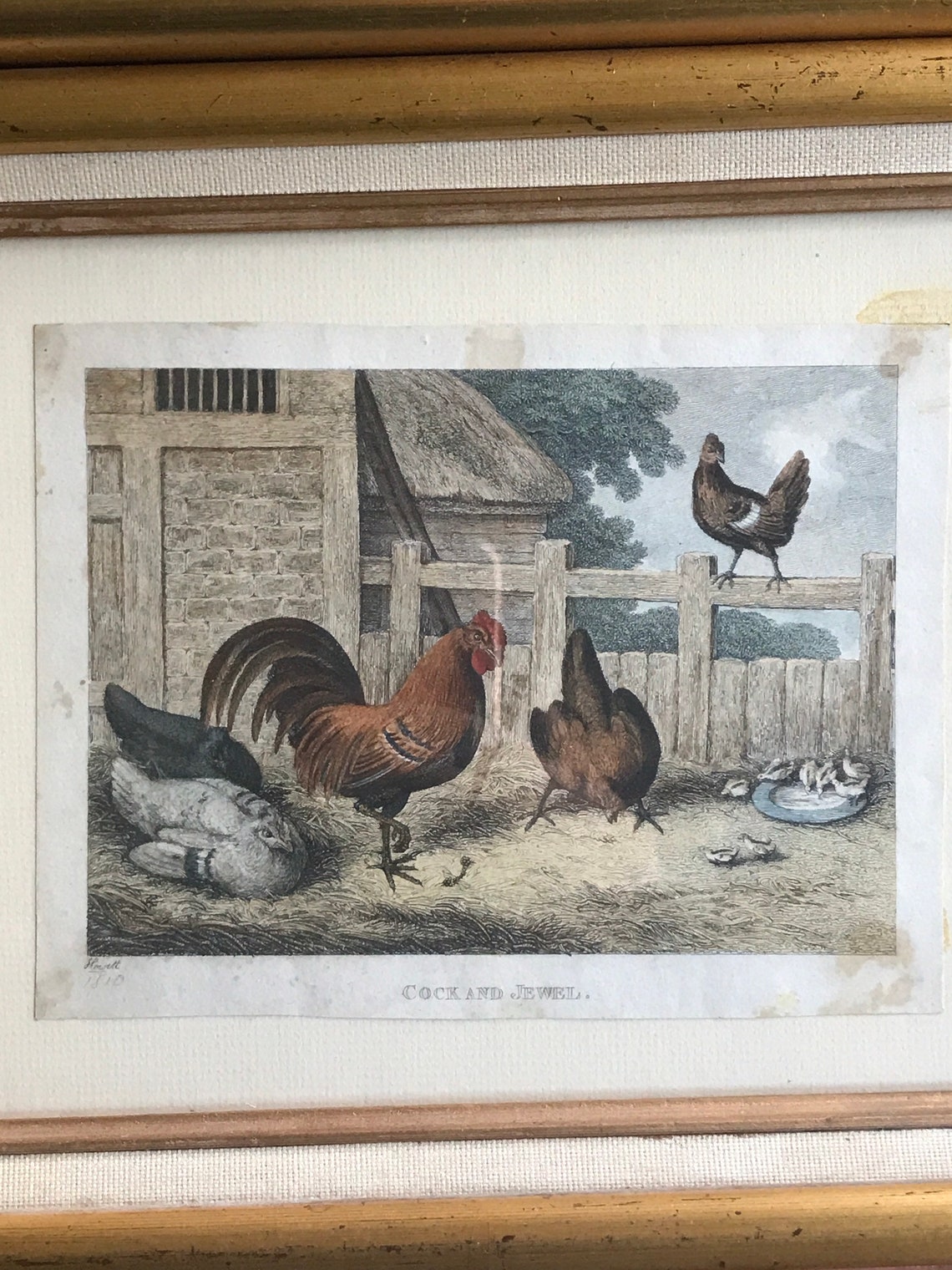 Antique 1800s Poultry Prints, Framed Set of 2 - Etsy