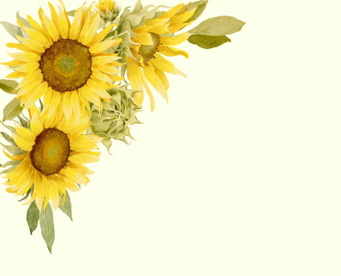 Floral Frame, Sunflower Frame, Sunflower Border, PNG, Pdf, Stationary ...