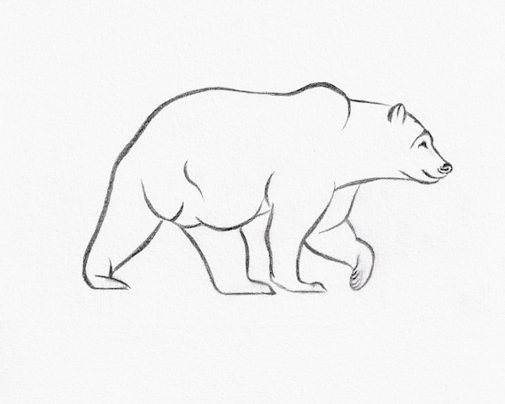 Bear Profile Drawing