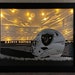 Raiders Helmet Inspired Lighted Shadow Box - Etsy