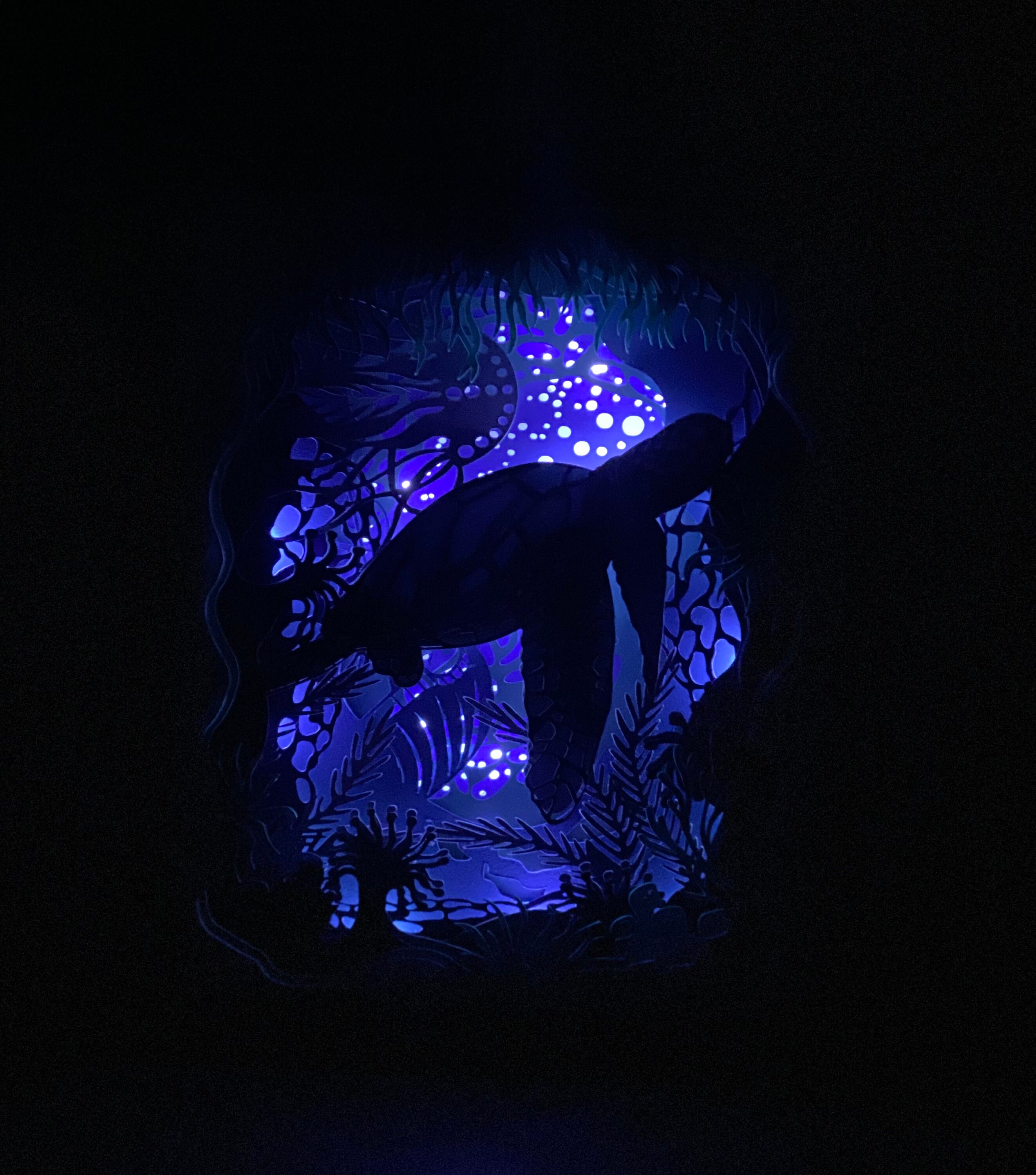 Sea Turtle 3D Lighted Shadow Box Sea Turtles - Etsy