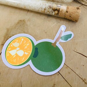 Calamansi Sticker, Fruit Sticker, Filipino Sticker, Filipina Sticker ...