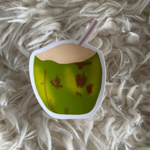 Coconut Sticker, Buko Sticker, Hydroflask Sticker, Philippines ...