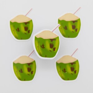 Coconut Sticker, Buko Sticker, Hydroflask Sticker, Philippines ...