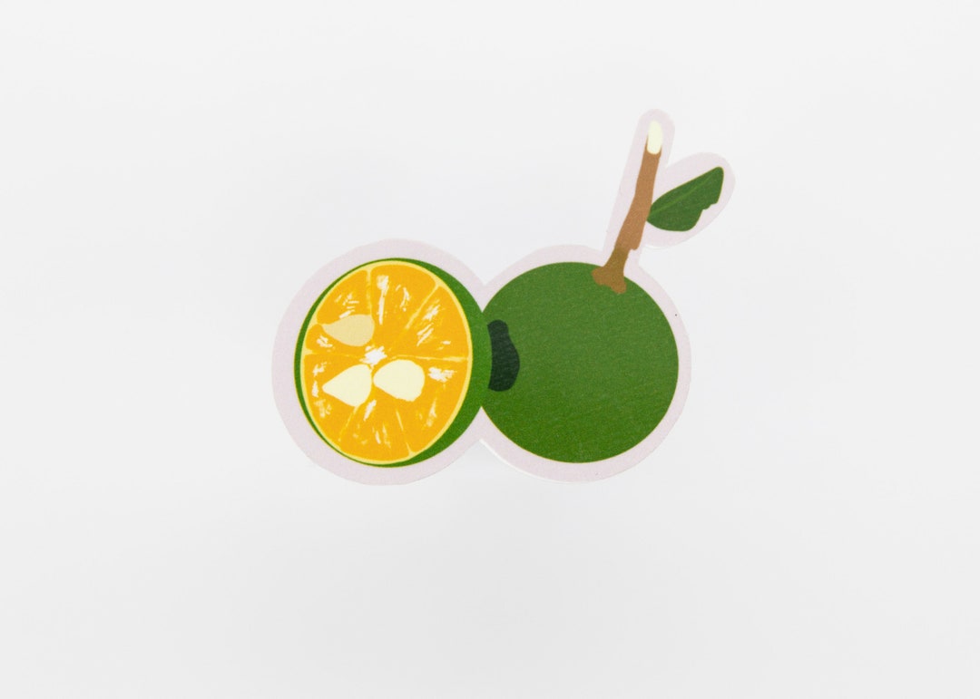 Calamansi Sticker, Fruit Sticker, Filipino Sticker, Filipina Sticker ...