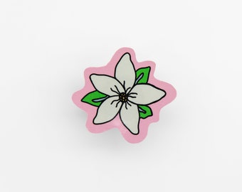 Philippine National Flower Sampaguita Drawing