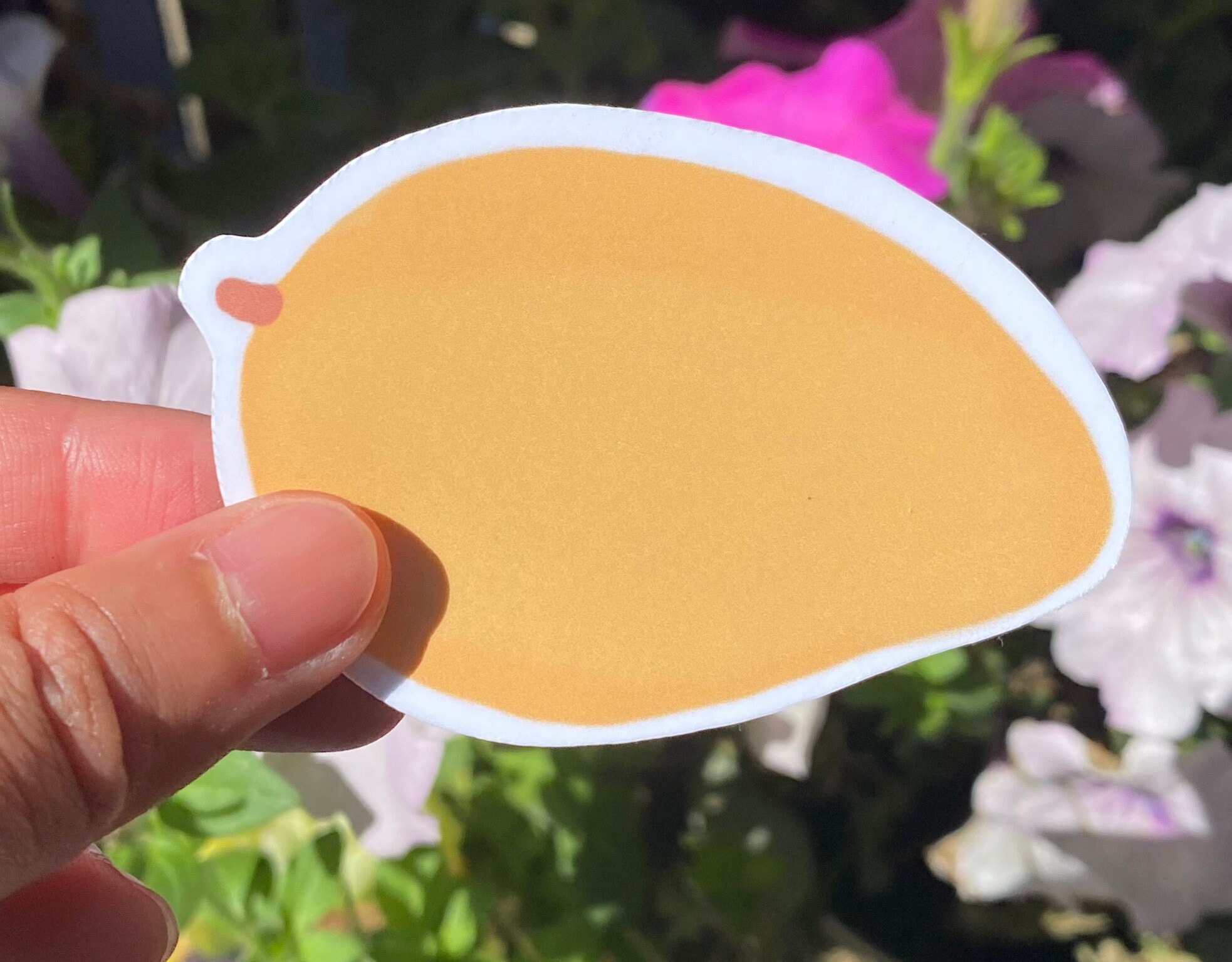 Manila Mango Sticker Fruit Sticker Sticker for Laptop - Etsy