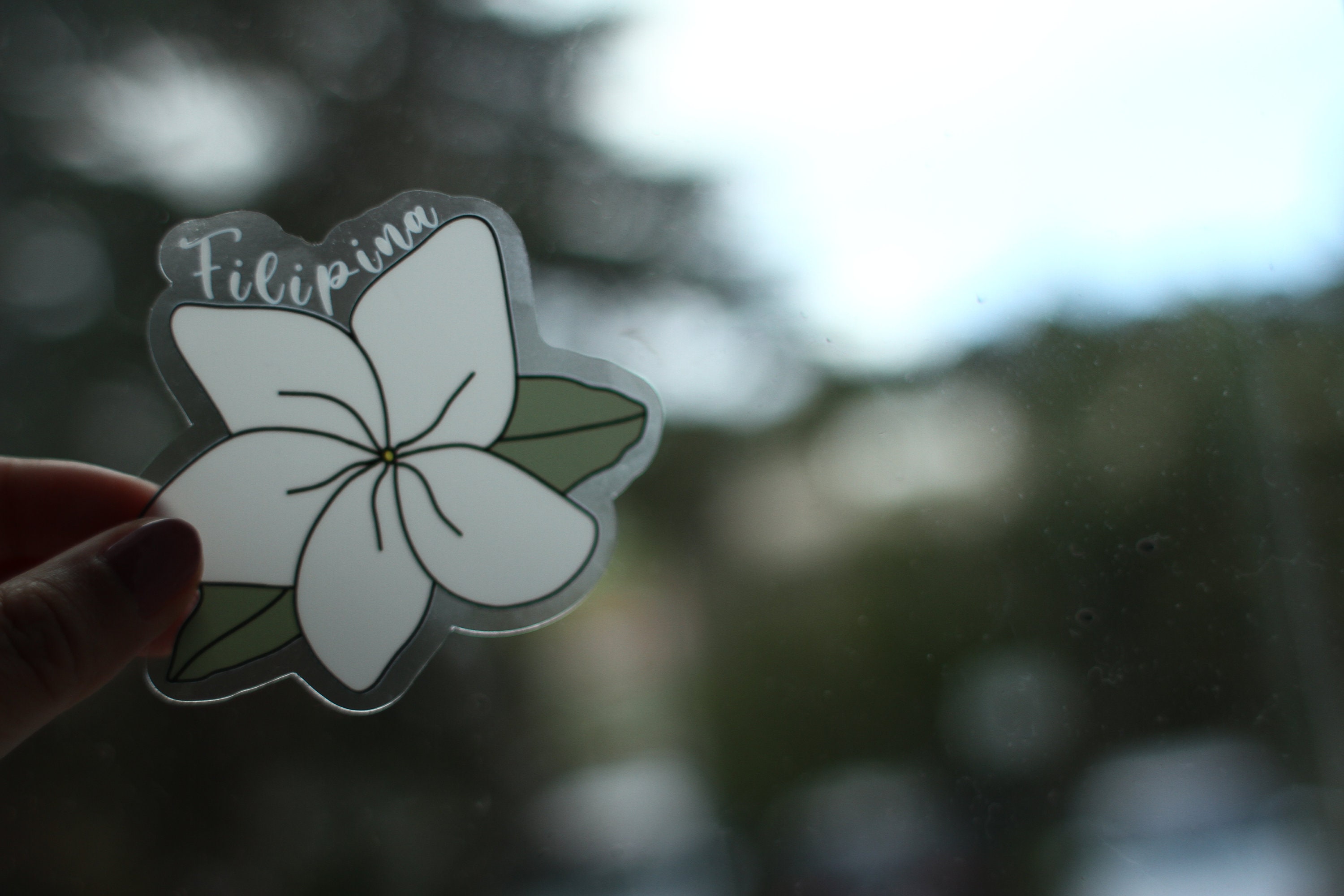 Filipina Sticker Clear Sticker Sampaguita Sticker Filipino | Etsy