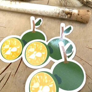 Calamansi Sticker, Fruit Sticker, Filipino Sticker, Filipina Sticker ...