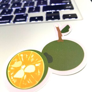 Calamansi Sticker, Fruit Sticker, Filipino Sticker, Filipina Sticker ...