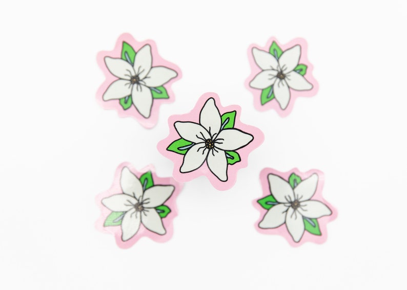Sampaguita Sticker Filipina Sticker Pinay Sticker Filipino - Etsy