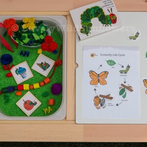 Life Cycle Printable Bundle Pdfs | Bee, Butterfly & Frog | Busy Book ...