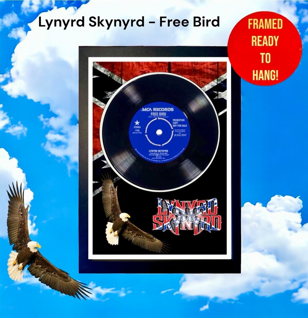 Framed 7" Vinyl Record | Lynyrd Skynyrd Free Bird | 70s Music | Unique ...