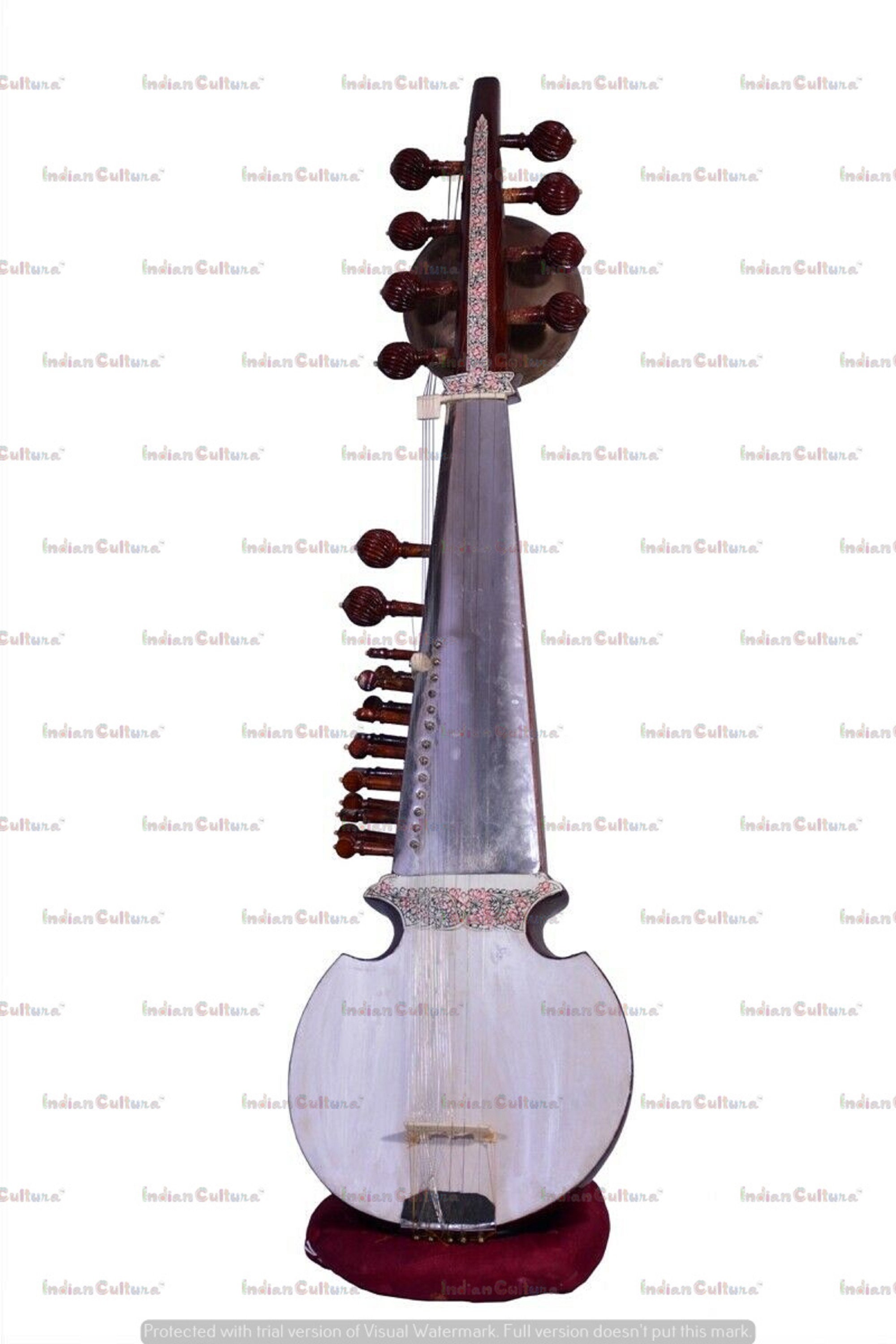 Electric Sarod