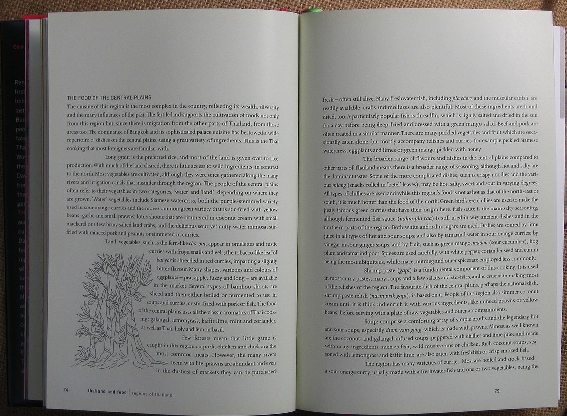 2002 THAI Food David Thompson - Ten Speed Press Cookery Book - Thai ...