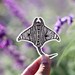 Manta Ray Sticker - Vinyl Decal, Vinyl Sticker - Car Decal, Laptop ...