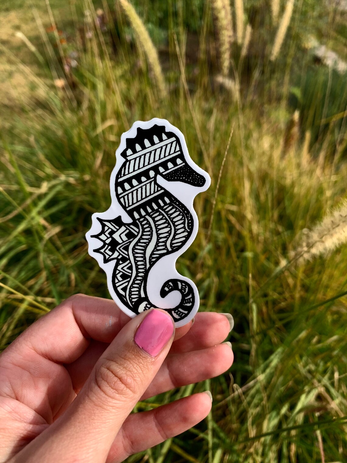 Seahorse Sticker - Vinyl Decal, Vinyl Sticker - Car Decal, Laptop Decal ...