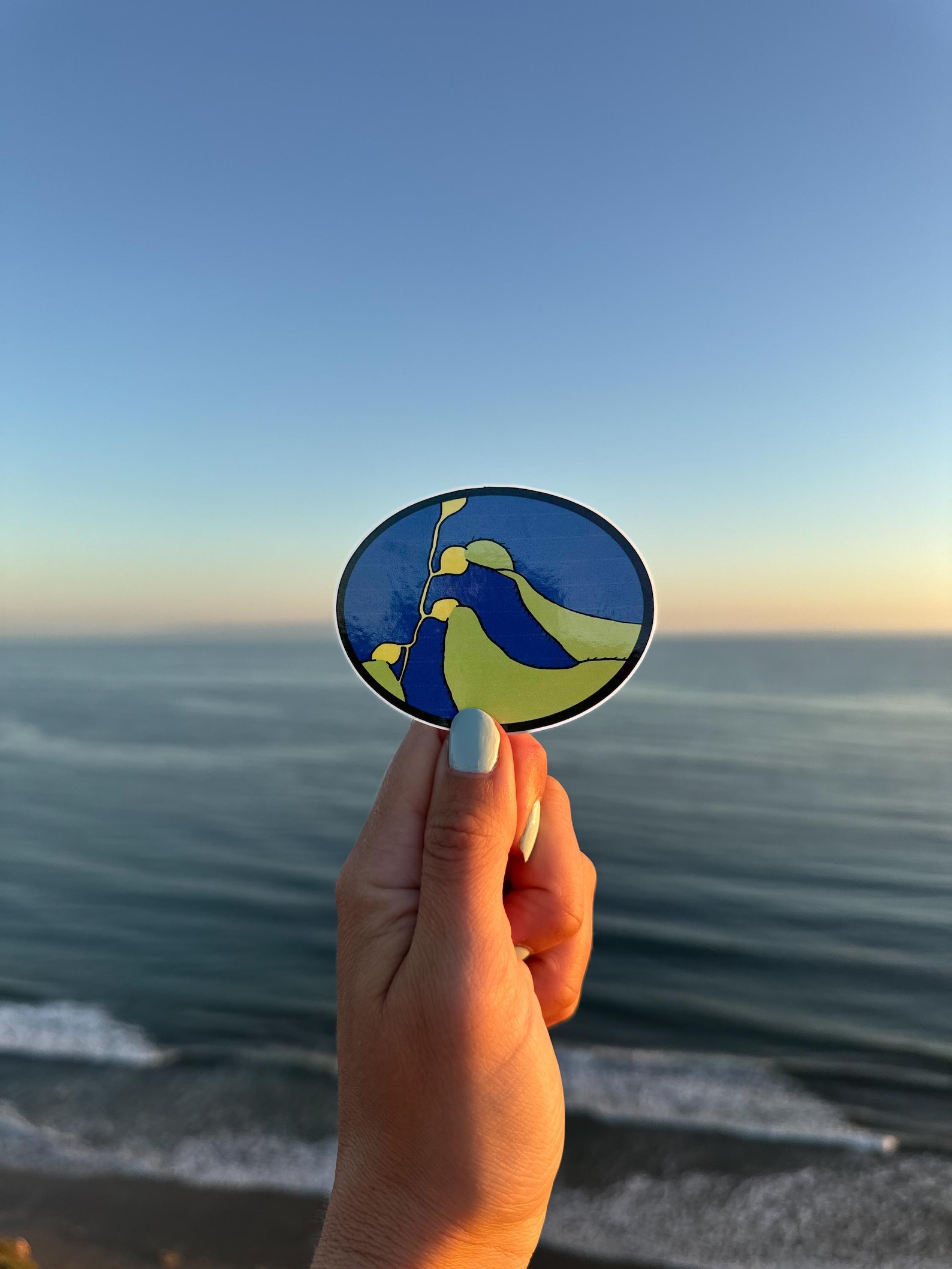 Giant Kelp Sticker: Macrocystis Pyrifera Vinyl Decal for Ocean Lovers ...