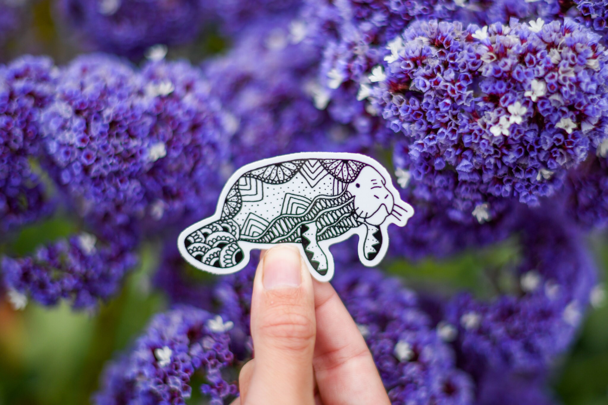 Manatee Sticker Vinyl Decal Vinyl Sticker Car Decal | Etsy