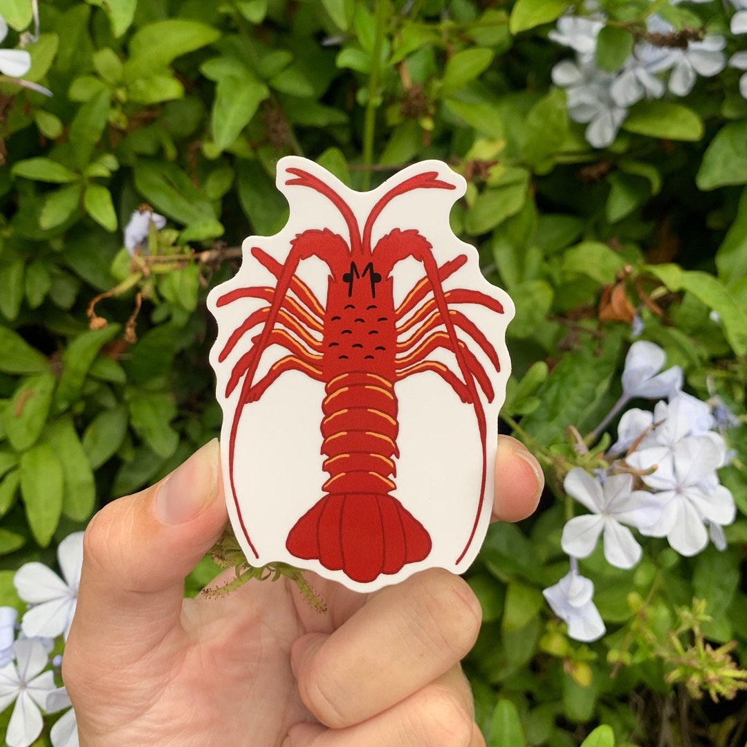 California Spiny Lobster Sticker - Etsy
